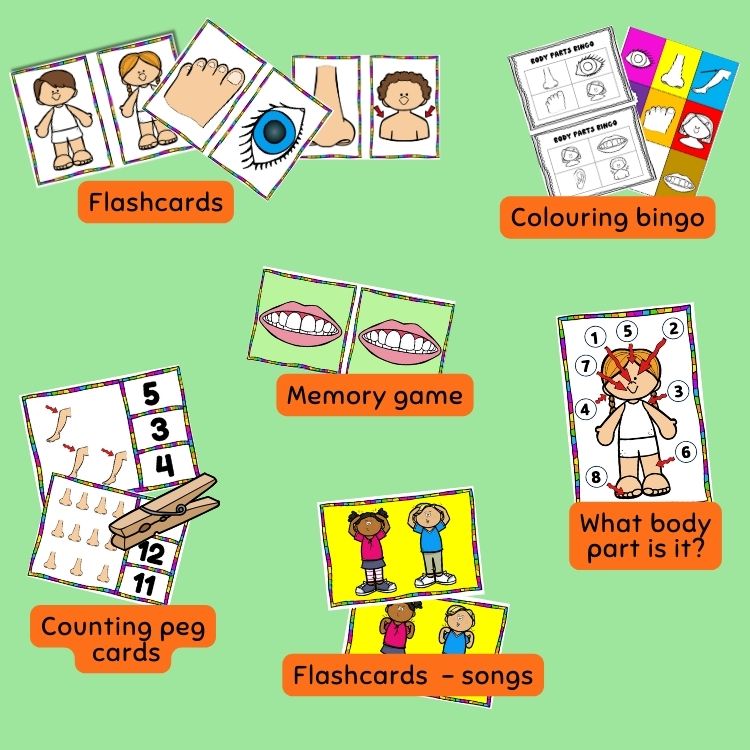 My body lesson – My ESL World