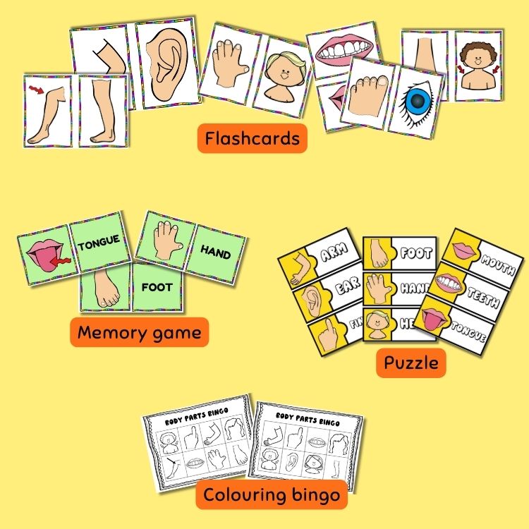 Body parts – Early reading lesson – My ESL World