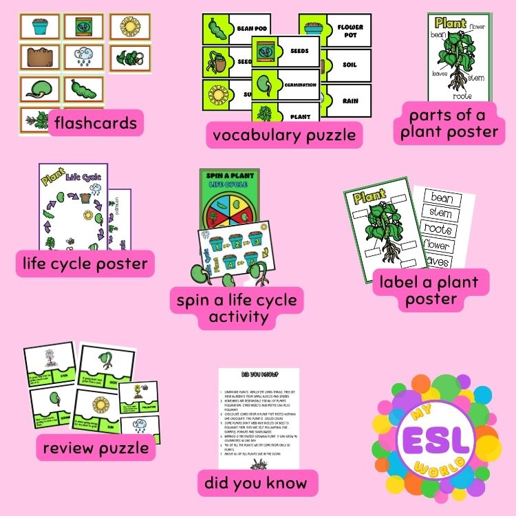 All about plants – My ESL World