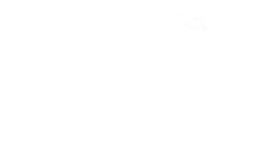 Language House – My English Activity Book – My ESL World