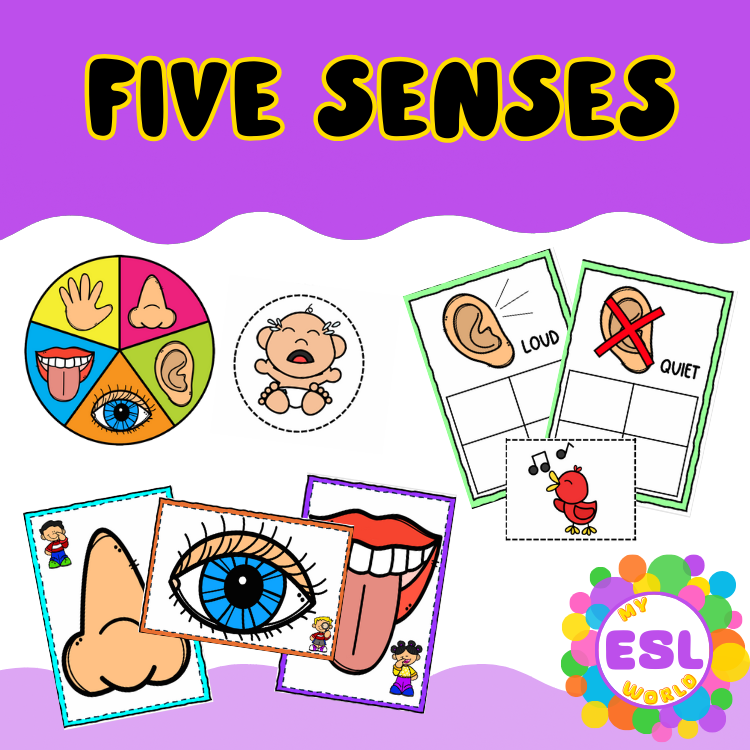 Five senses – My ESL World